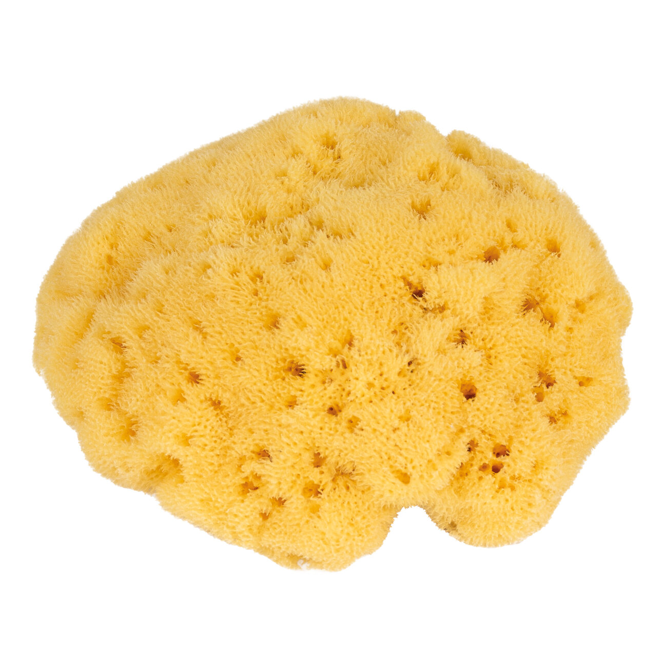 Kategooria: Kehale - Gorganic